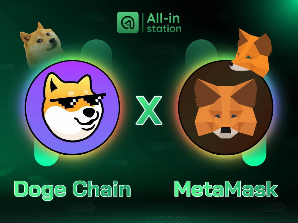 2 bước đơn giản để thêm mạng lưới Dogechain vào ví Metamask